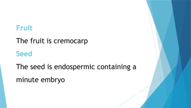 Family Apiaceae.ppt by Adeel Ahmad BS Botany | PPTX