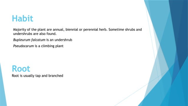 Family Apiaceae.ppt by Adeel Ahmad BS Botany | PPTX
