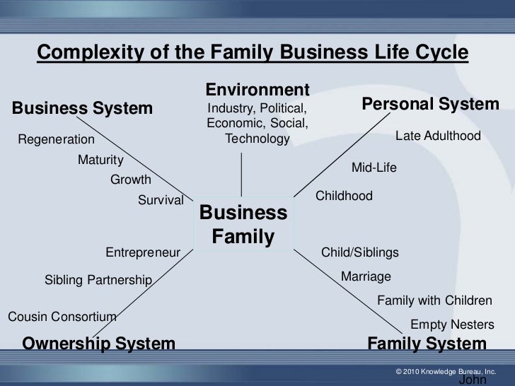 Family Business Issues