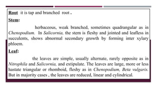 Family Chenopodiaceae By Iqra Aslam GCUL | PPTX