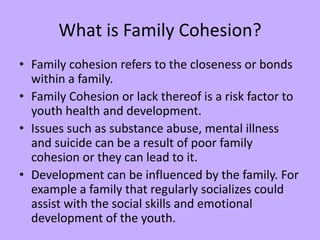 Family cohesion presentation abbey, steph, tegan | PPTX