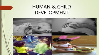 Family & Consumer Sciences | PPT