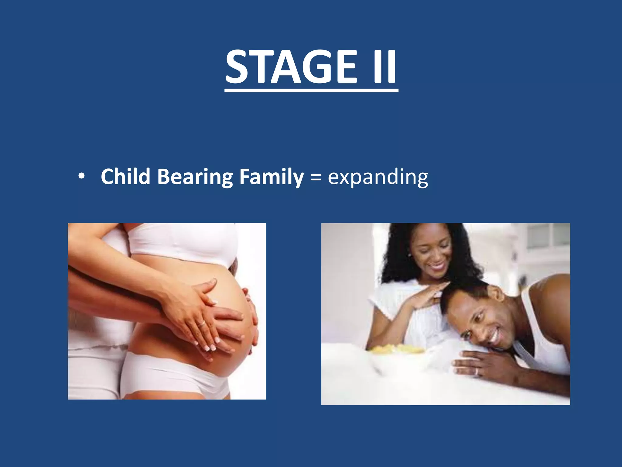Family life cycle | PPTX