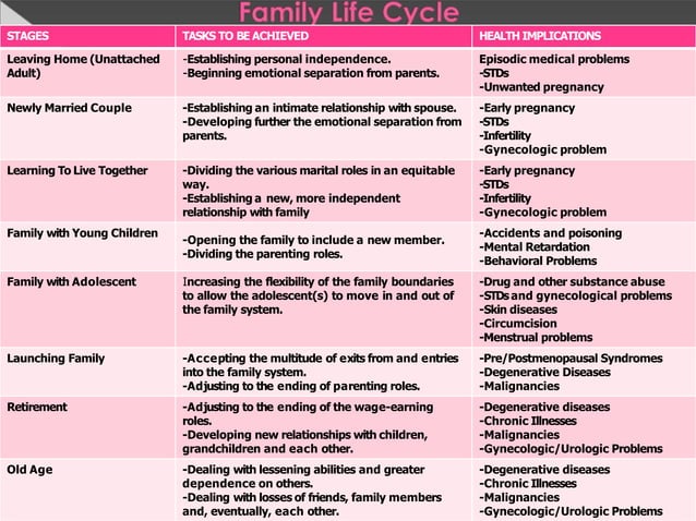 FAMILYdfddddrfrrrrrrr CYCLE-WPS Office.pptx