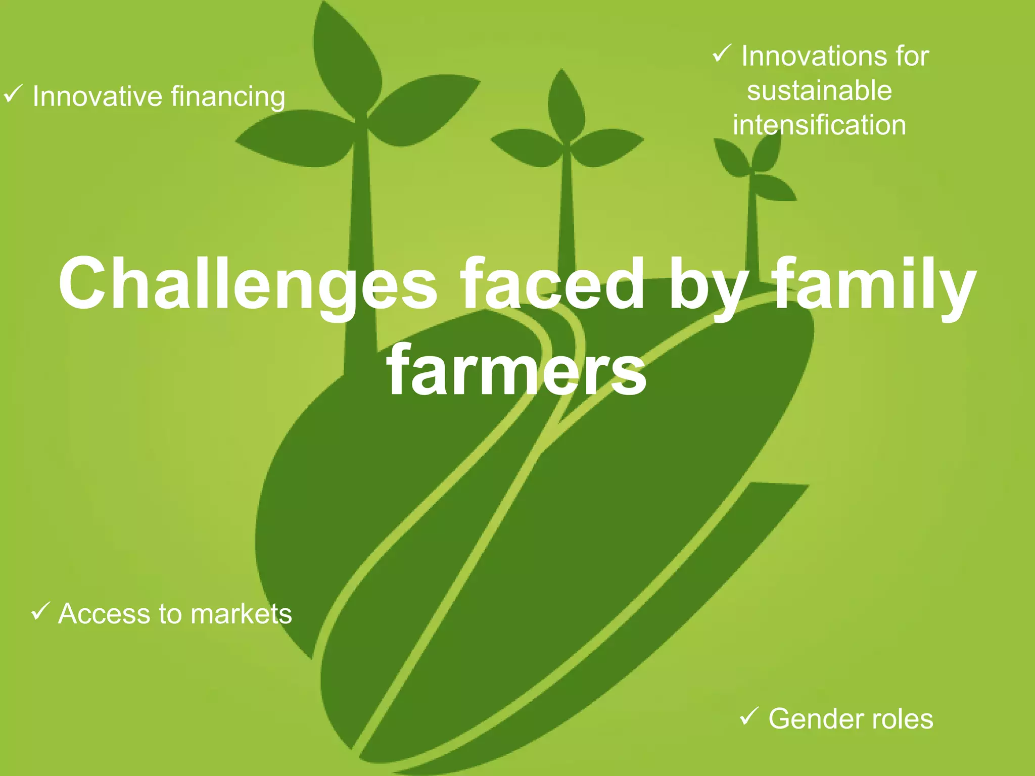 Family Farmers: Challenges and Recommendations | PDF