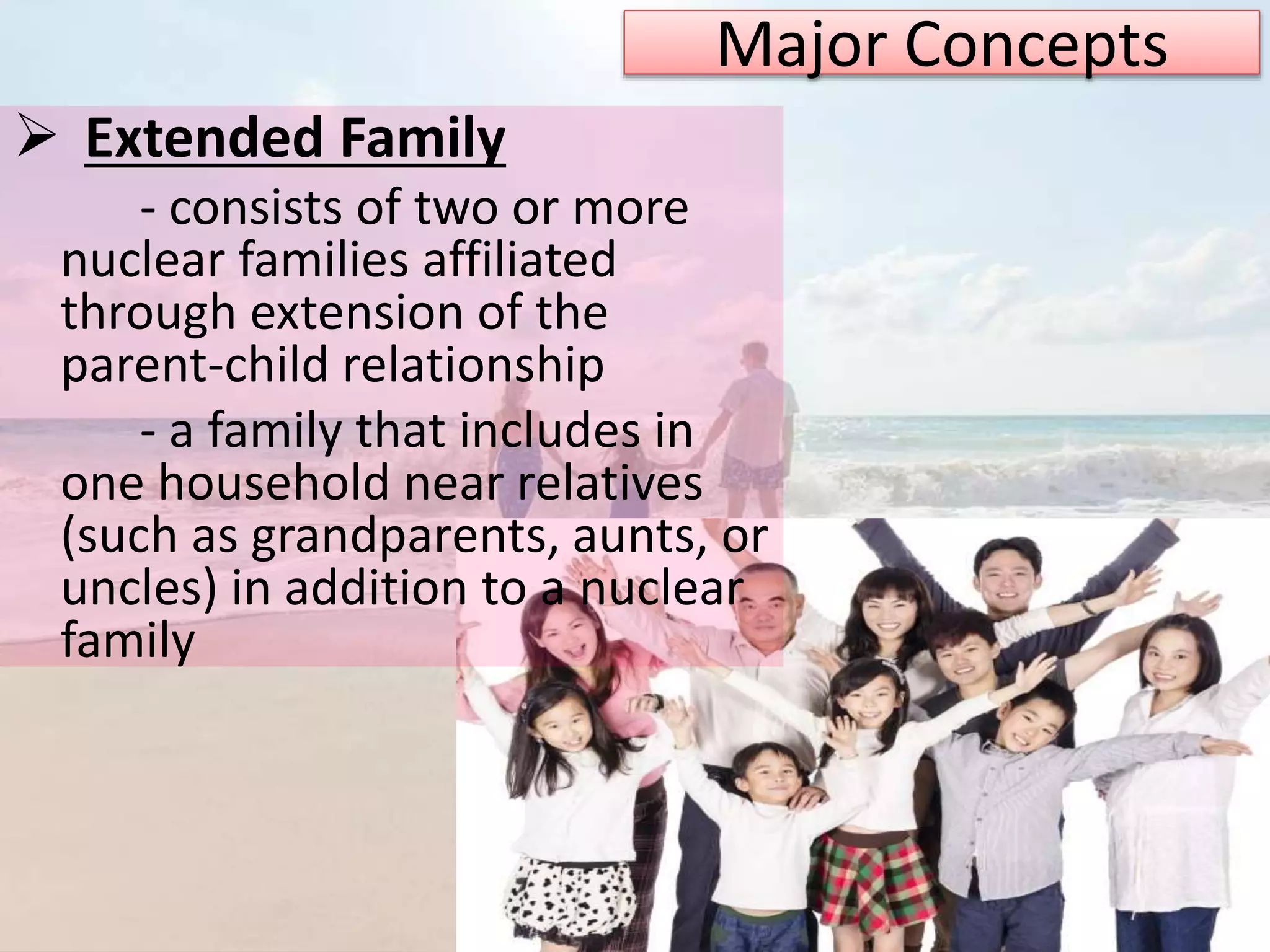 Family as a Social Institution | PPTX