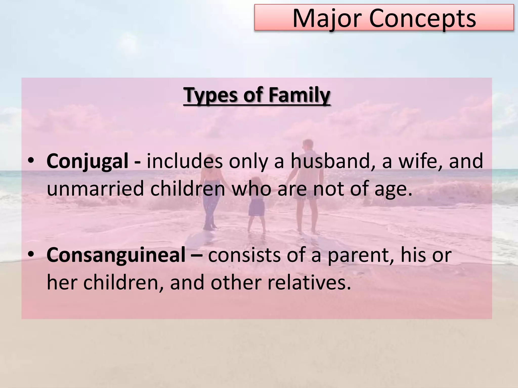 Family as a Social Institution | PPTX