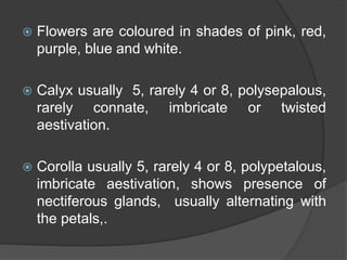 Family geraniaceae part-I.pptx