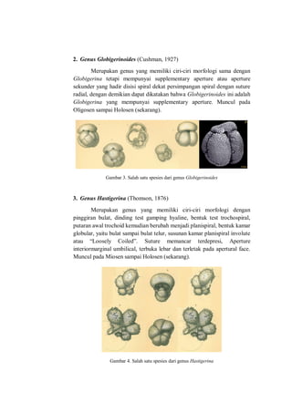 Family Globigerinidae (Parker and Jones, 1862) | PDF