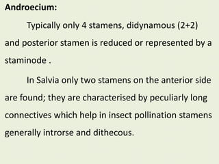 Family lamiaceae | PPTX