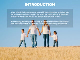 The Basics of Family Law | PDF