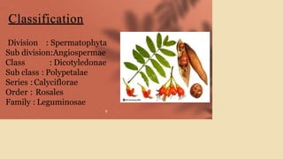 family_leguminosae_ppt.pptx | Gardening | Home & Garden