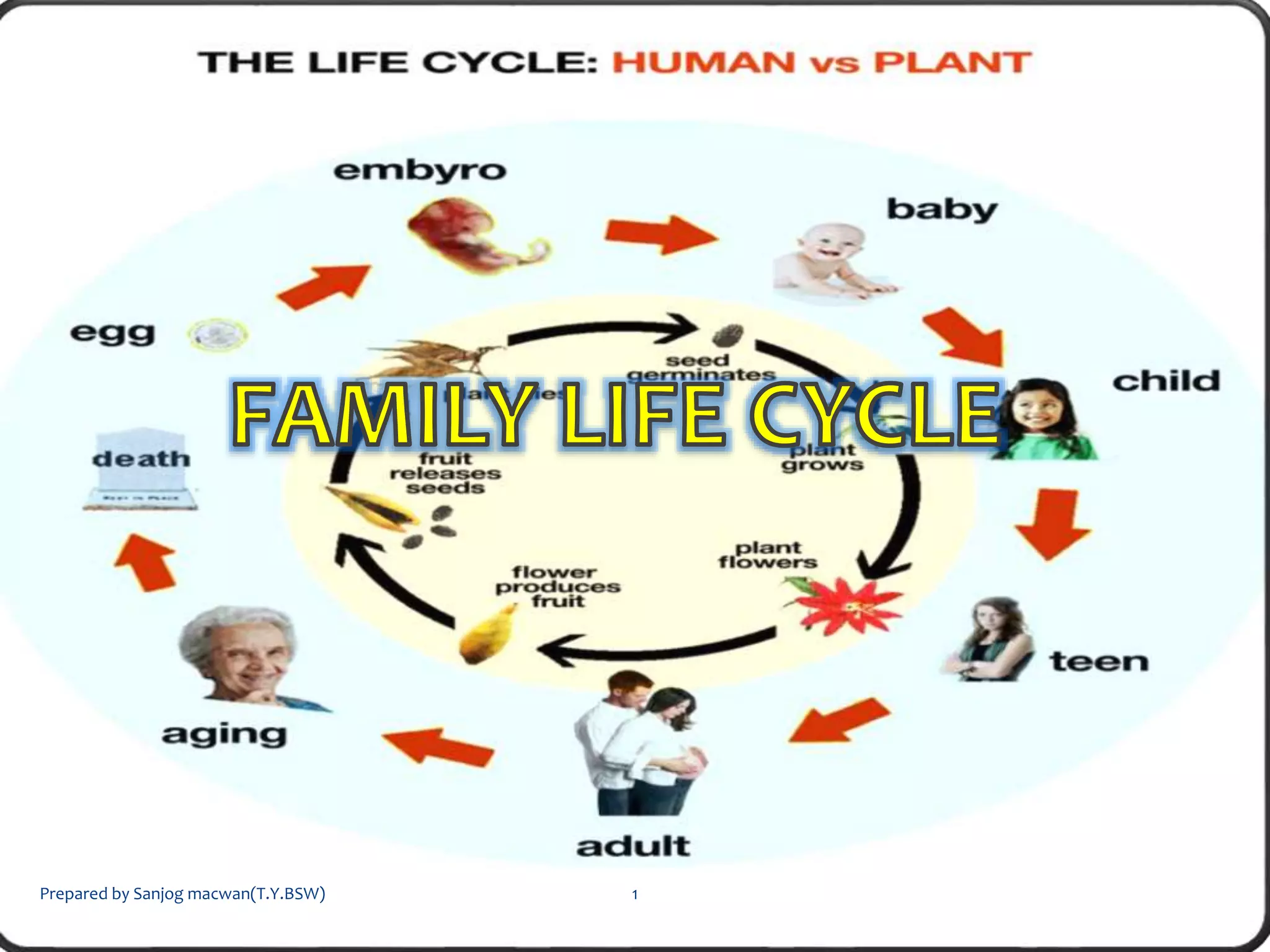 Family life cycle ppt( Prepared by sanjog Macwan) | PPSX