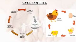 FAMILY LIFE EDUCATION.pptx