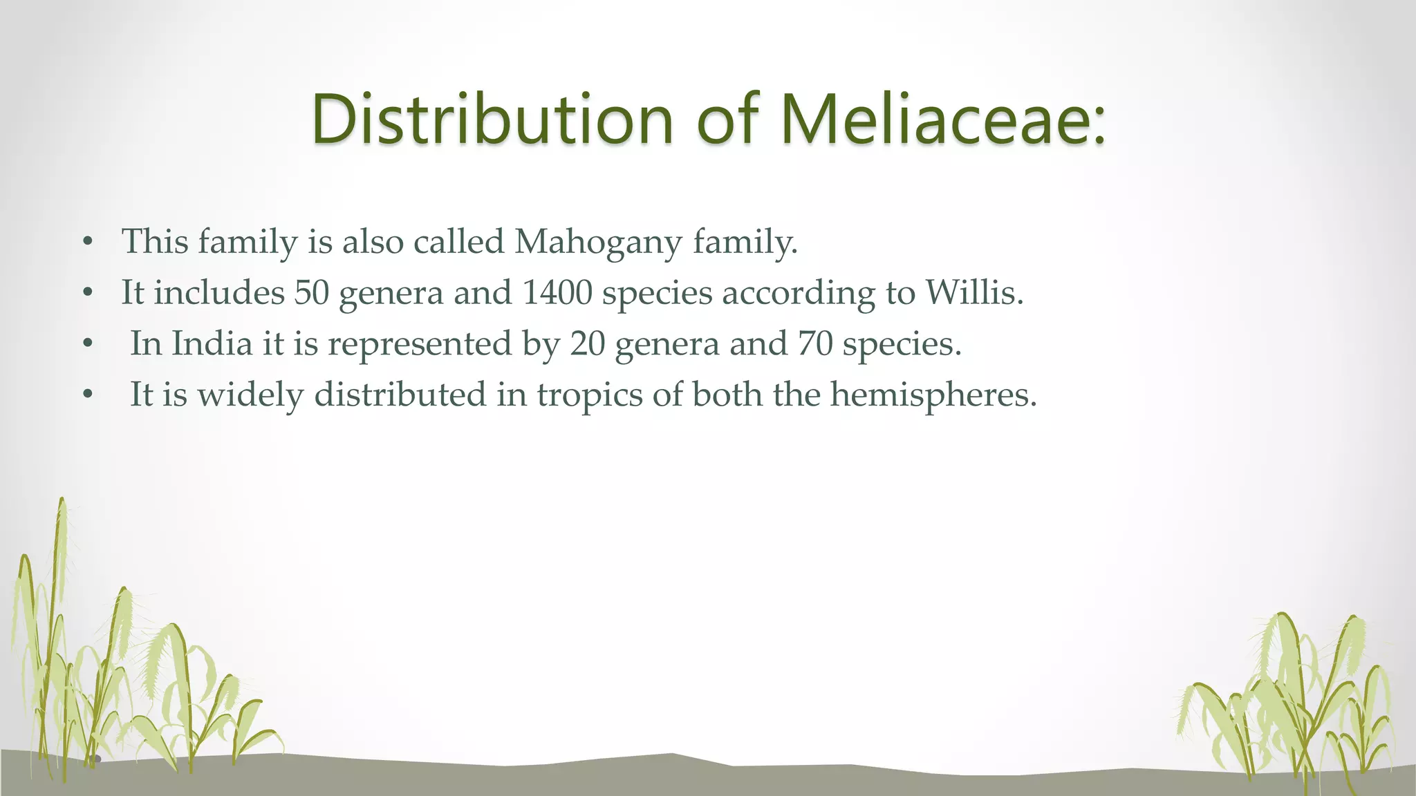 Family meliaceae | PPTX