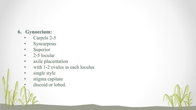 Family meliaceae | PPTX | Gardening | Home & Garden