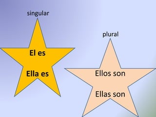 Family members in Spanish for primary education | PPTX