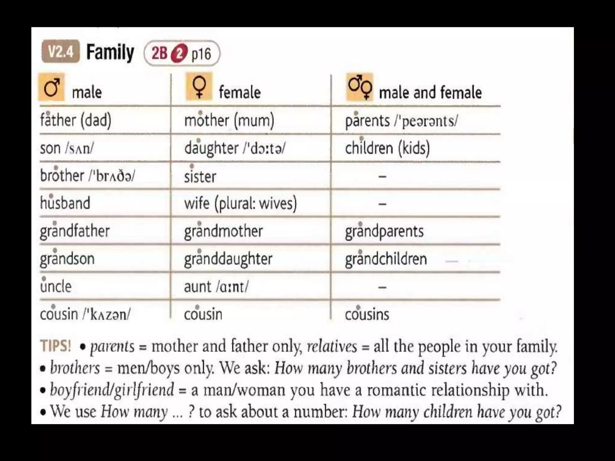 Family members and words to describe people | PPTX