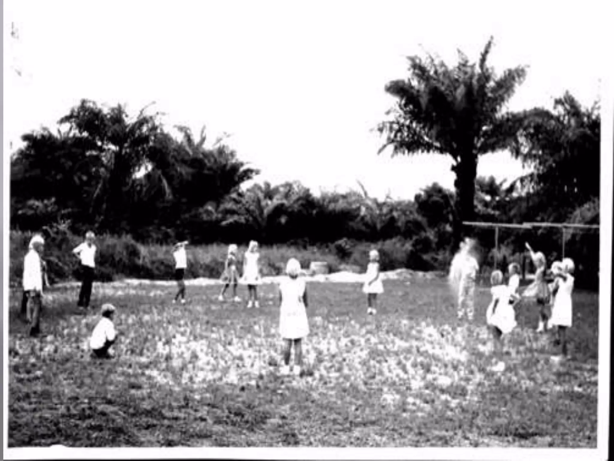 Family Narrative Powerpoint | PPTX