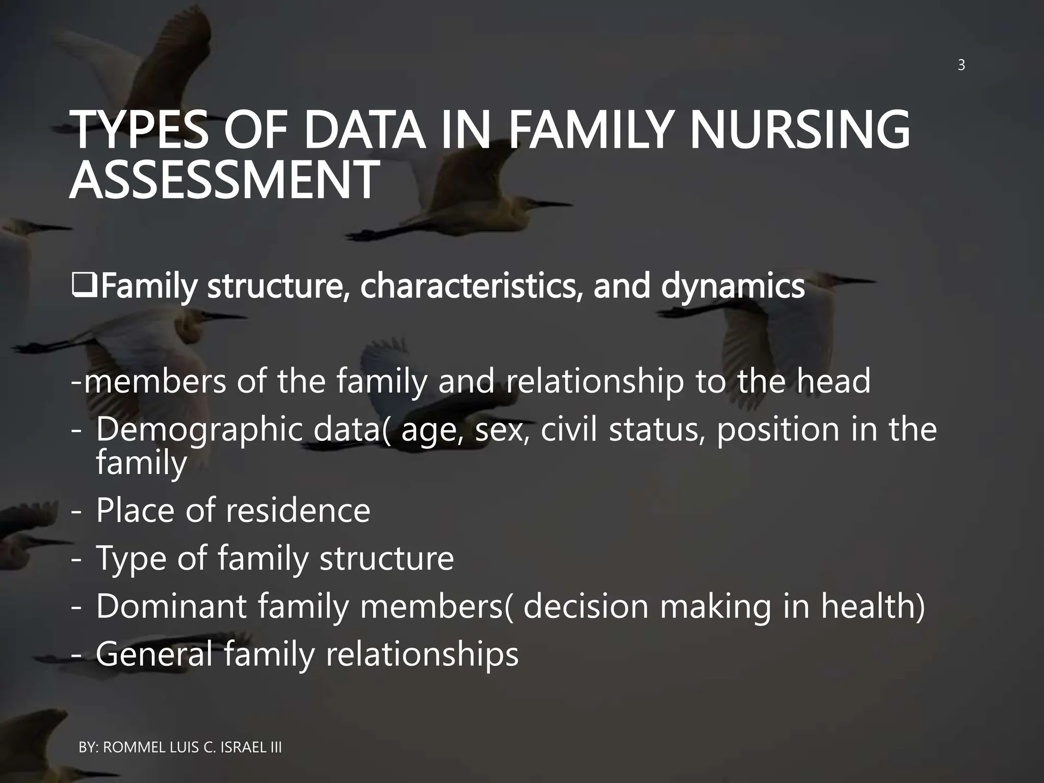 FAMILY NURSING CARE PLAN | PPTX