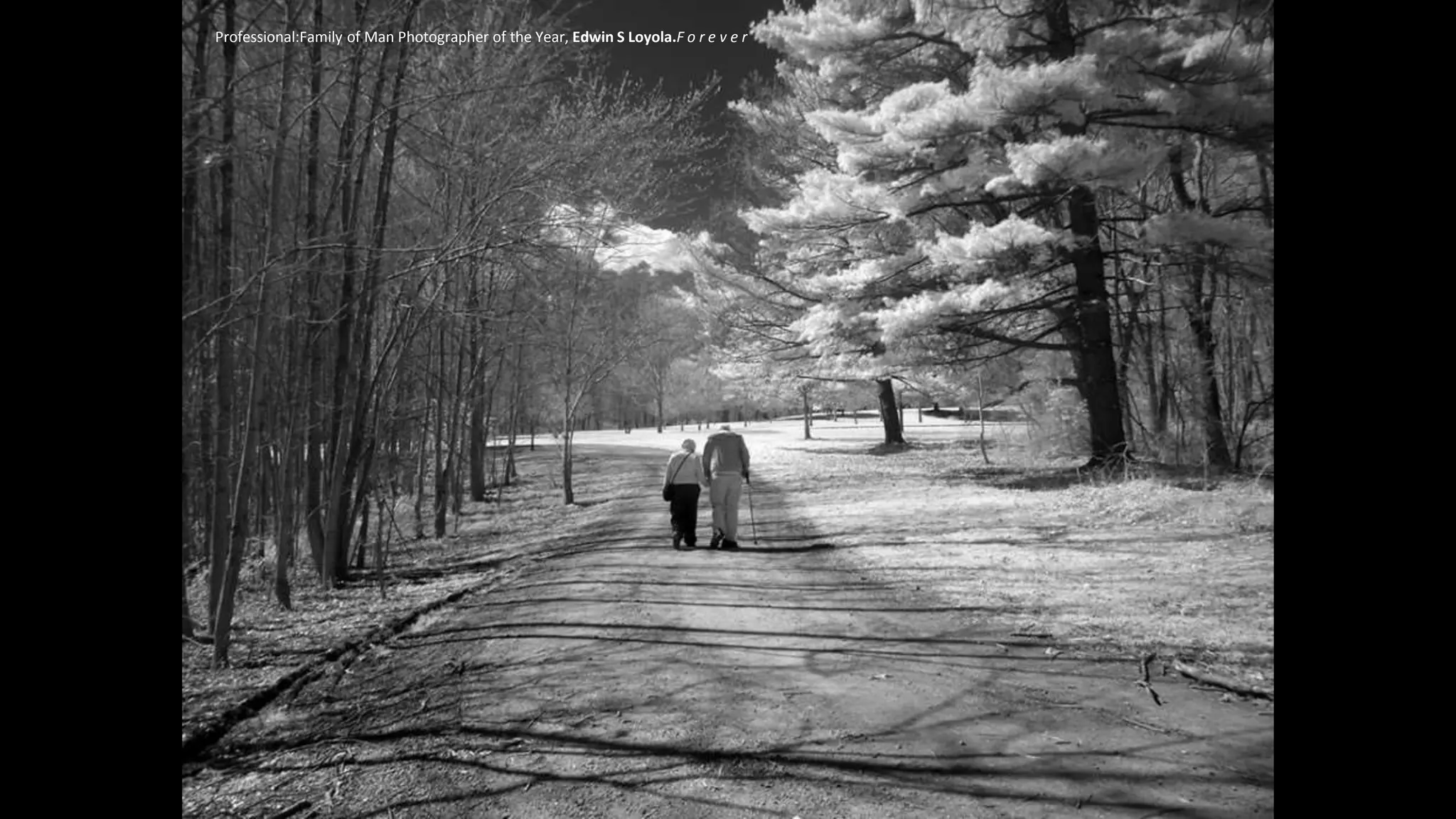 Family of Men (From IPA Awards) | PPSX