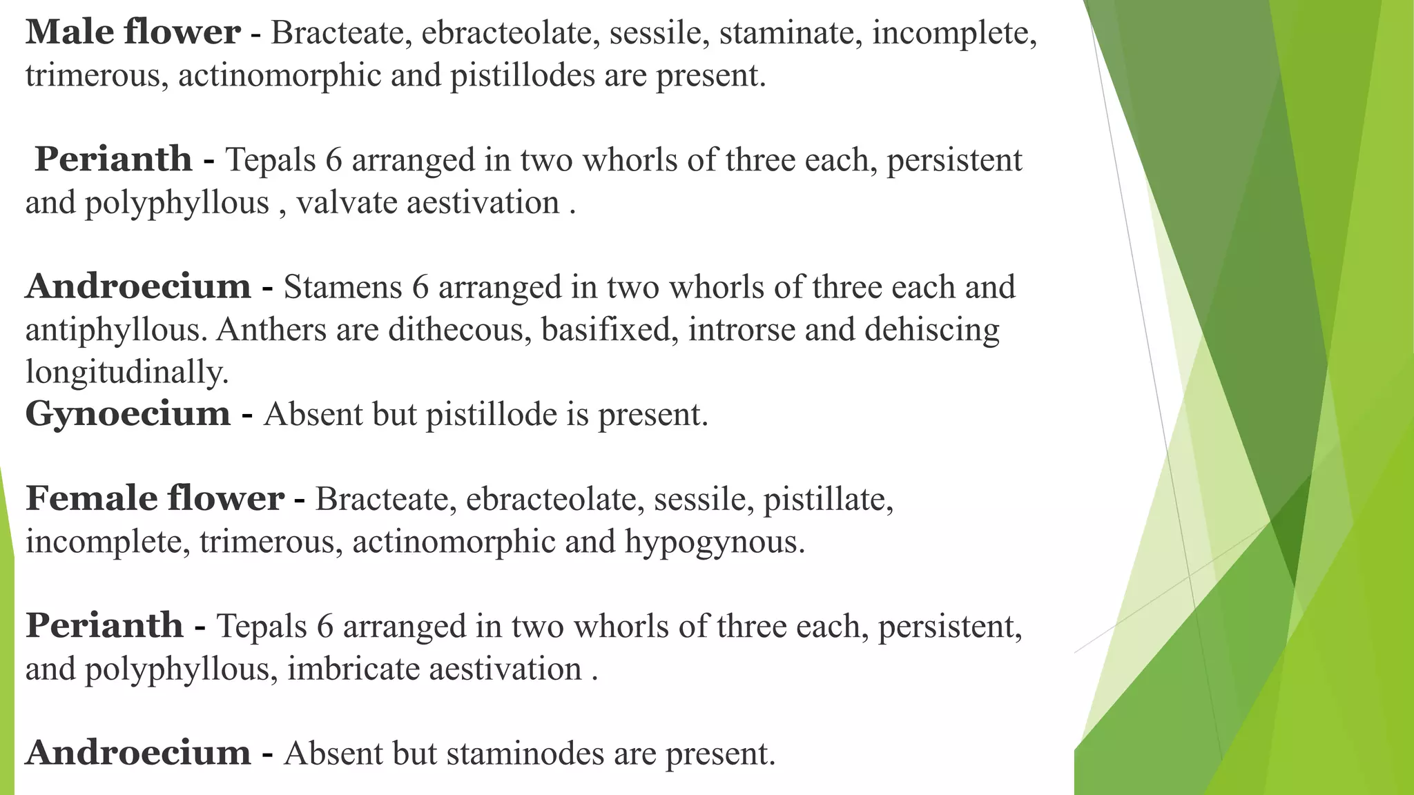 Family palmae | PPTX