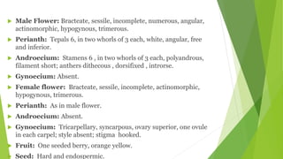 Family palmae | PPTX