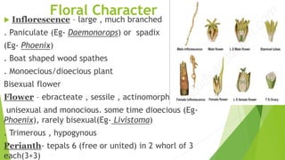 Family palmae | PPTX