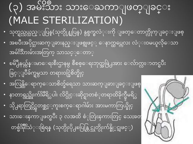 Family planning and birth spacing- Burmese | PPT