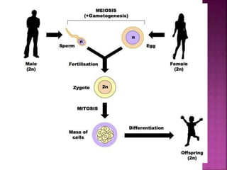 Family planning methods | PPT