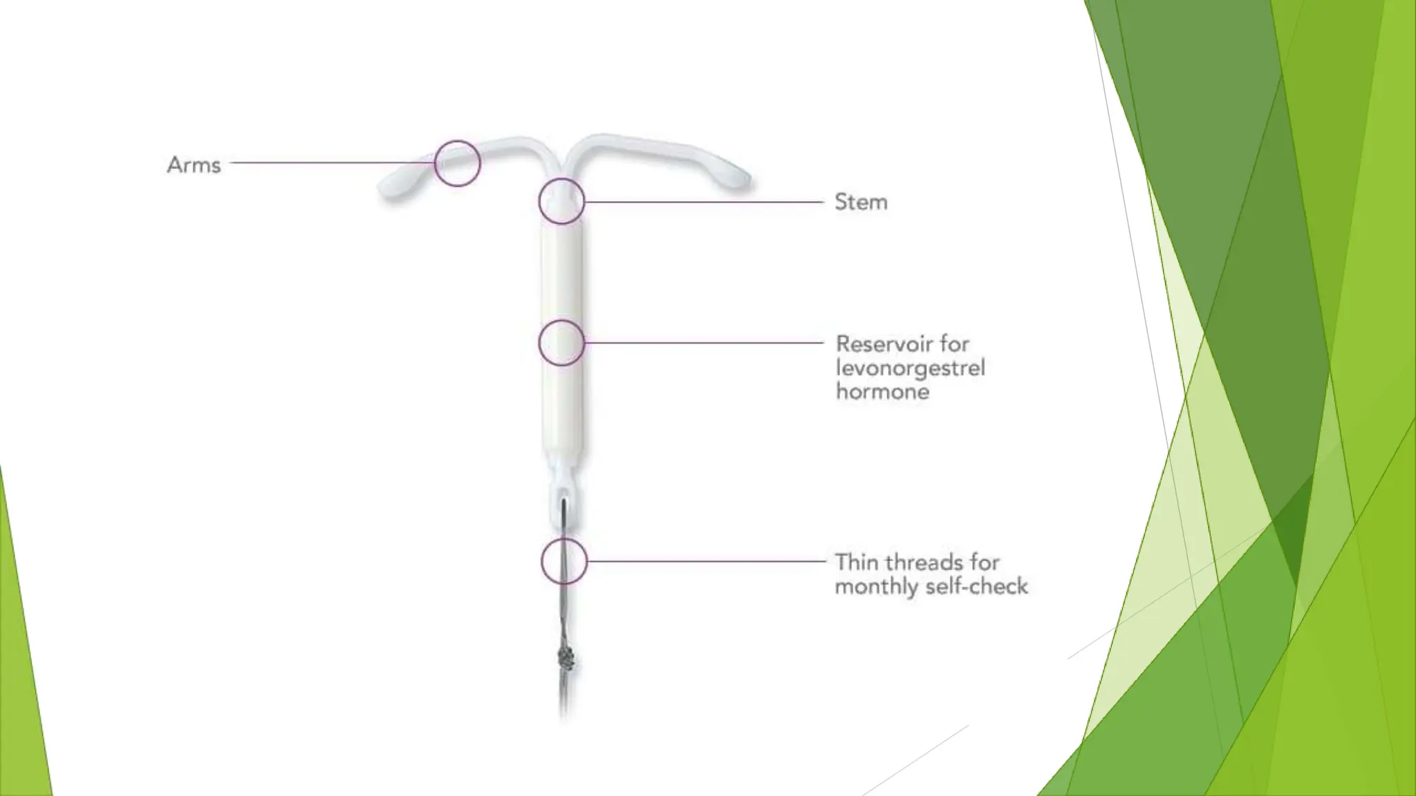 Family Planning (Contraceptive) Methods.pptx