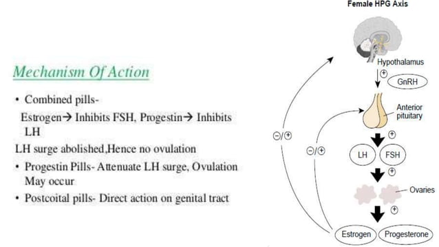 Family Planning (Contraceptive) Methods.pptx