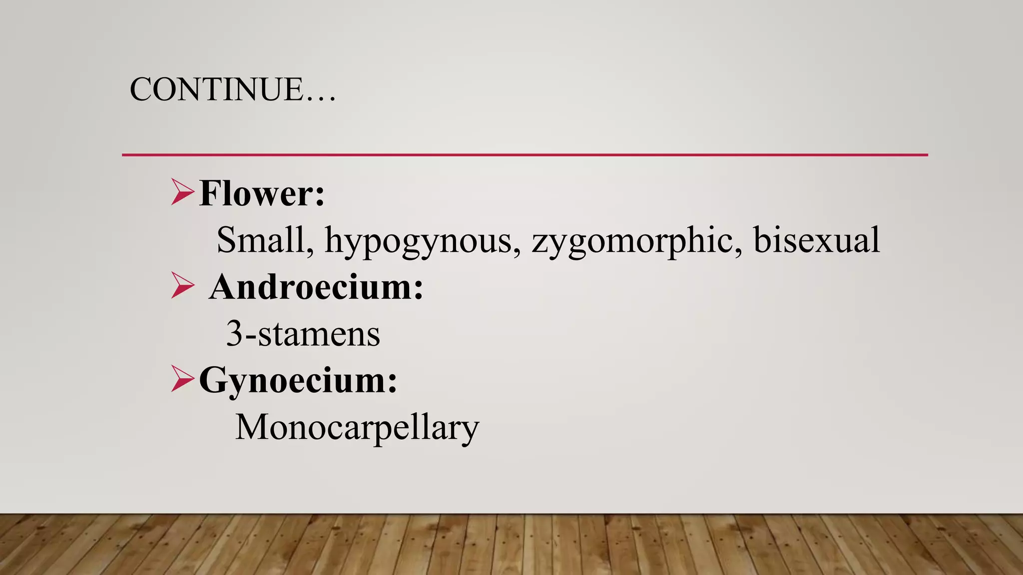 ppt on Family poaceae | PPTX