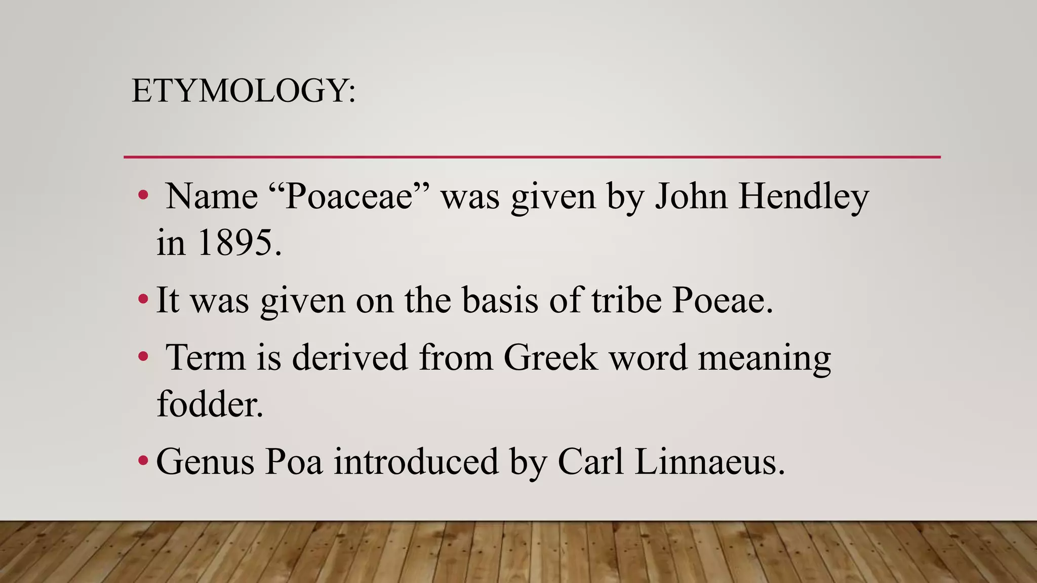 ppt on Family poaceae | PPTX