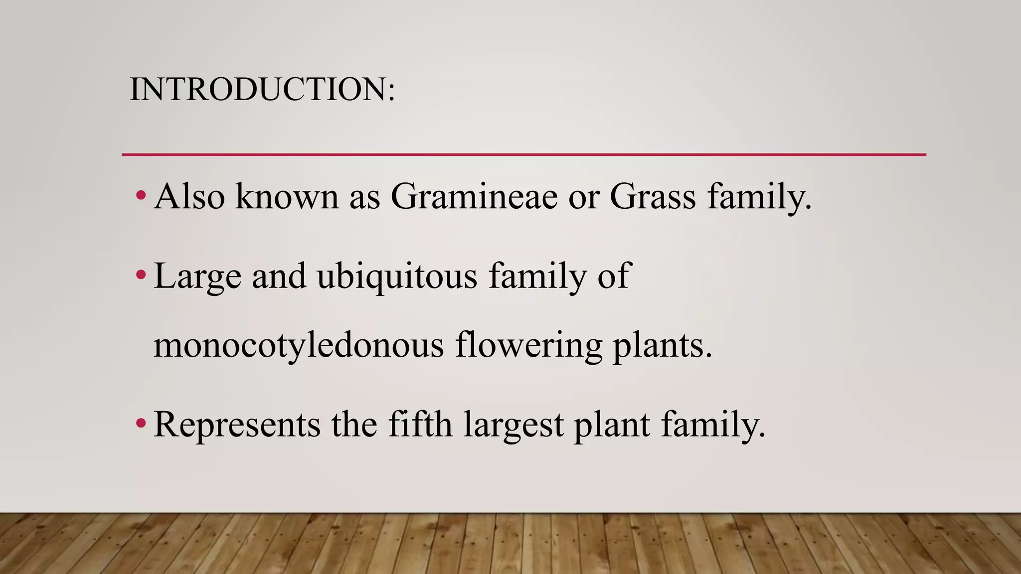 ppt on Family poaceae | PPTX
