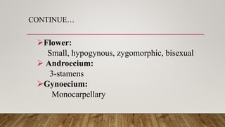 ppt on Family poaceae | PPTX