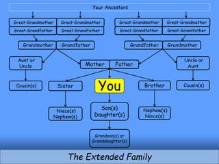 Family relationships | PPTX