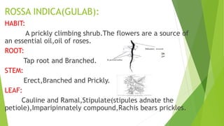 Floral Formula - Introduction | PPTX