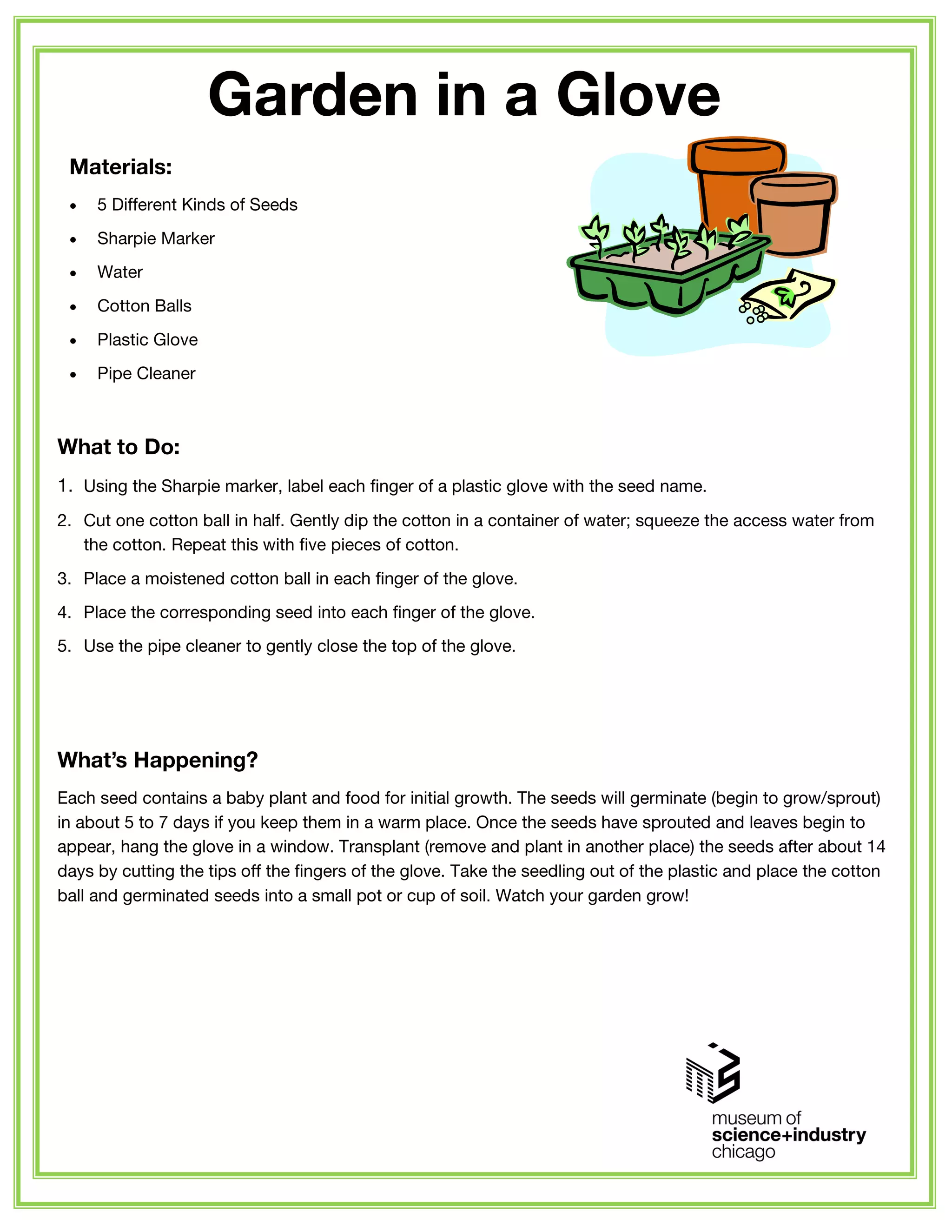 Family Science Night Activity Guide Booklet | PDF