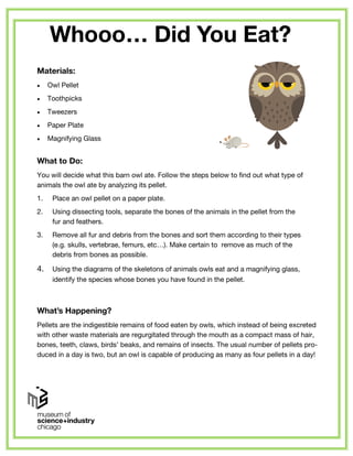 Family Science Night Activity Guide Booklet