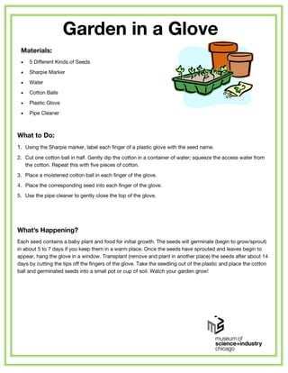 Family Science Night Activity Guide Booklet