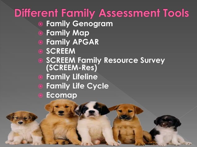 Family tools complete | PPTX | Genealogy and Ancestry | Hobbies & Interests