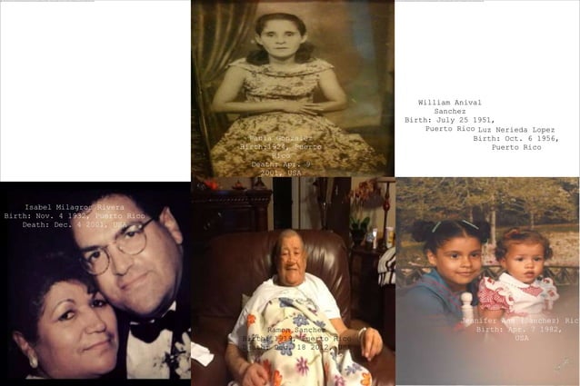 Jennifer Rich Family tree | PPT | Birth | Personal Celebrations & Life ...