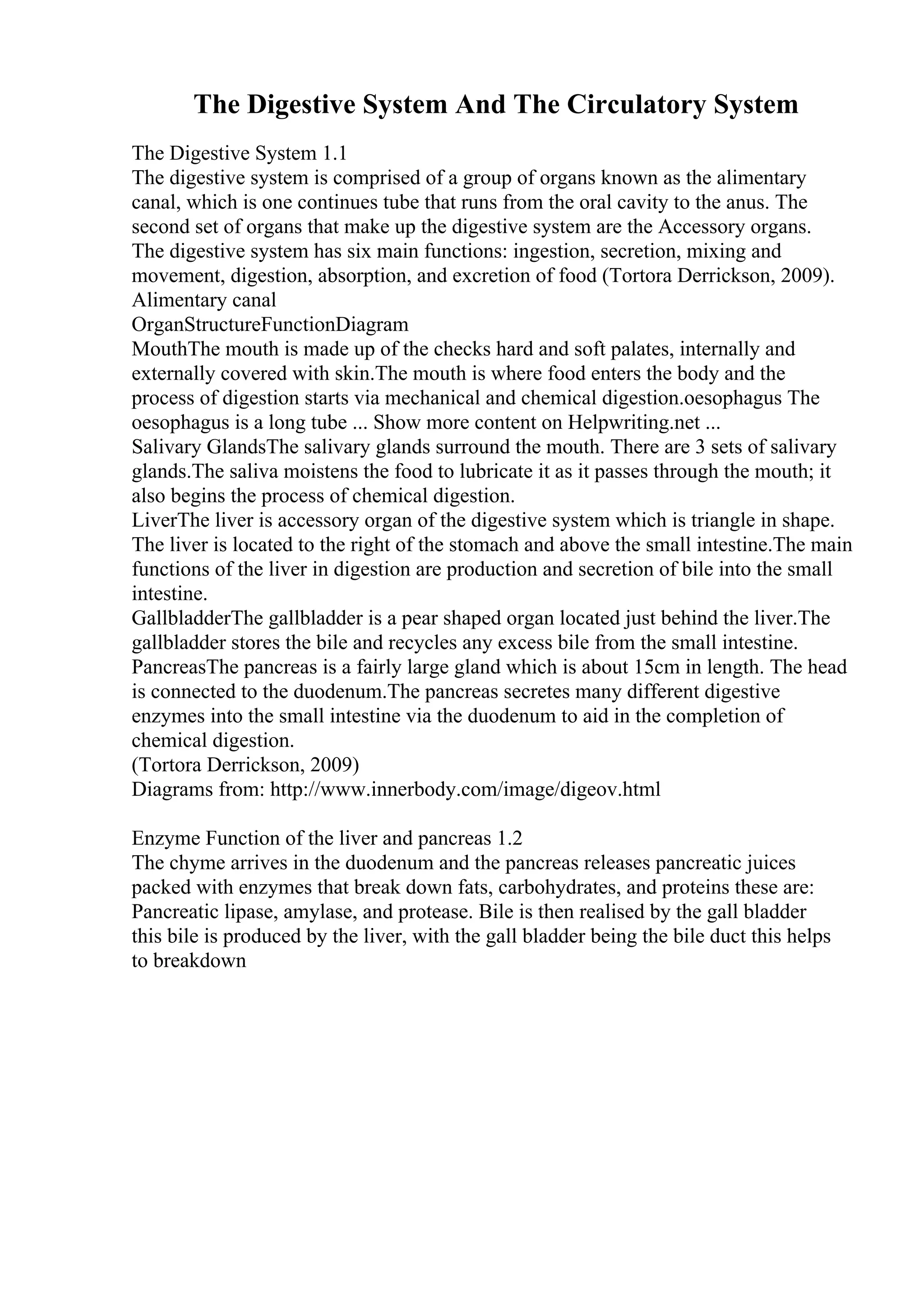 Family Tree Essay. My family tree Teaching Resources | PDF