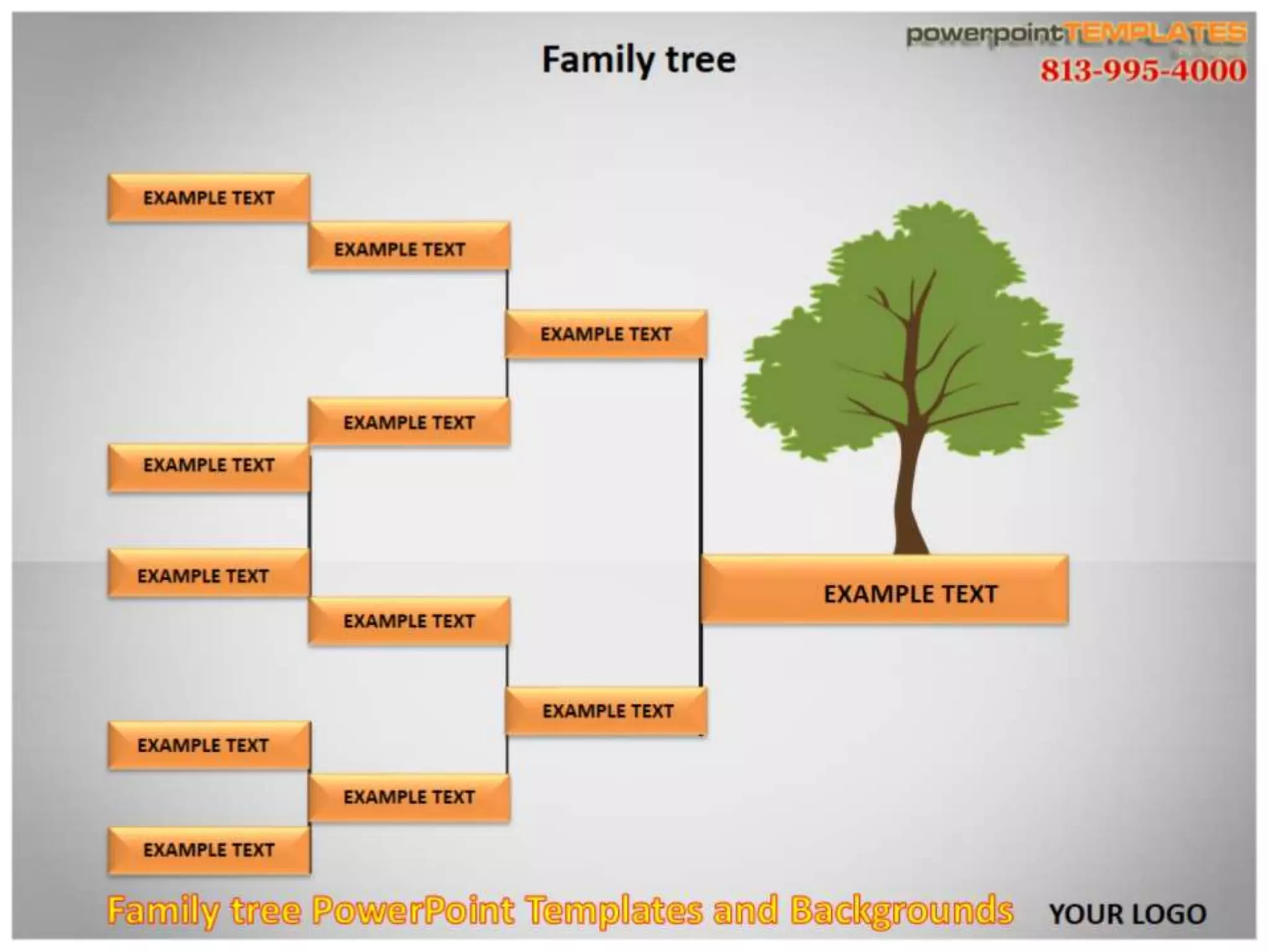Family Tree PowerPoint Templates and Backgrounds | PPTX