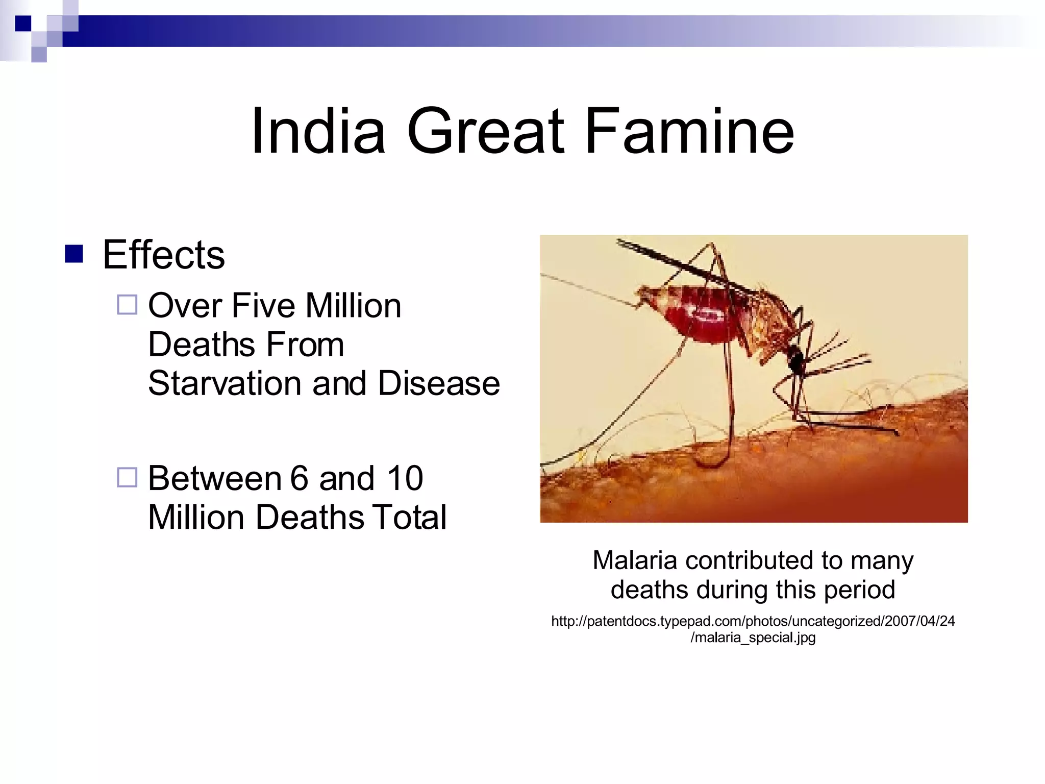 Famines in History | PPT | Food & Drink