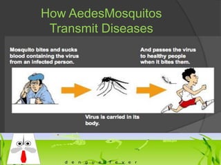 Famipop Dengue Stats Presentation | PPT