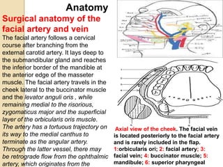 Facial -Artery -musclo -mucosal -Flap presntion | PPTX