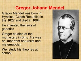 Famous czeck people | PPT