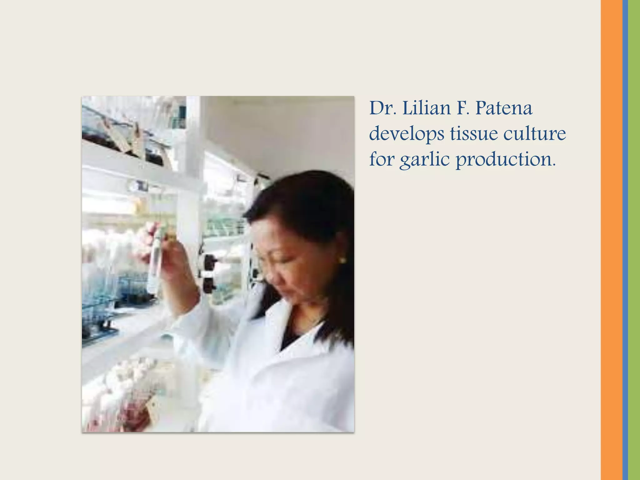 Famous filipinos in the field of science | PPTX